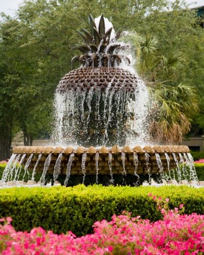 Astonishing World: The Pineapple Fountain