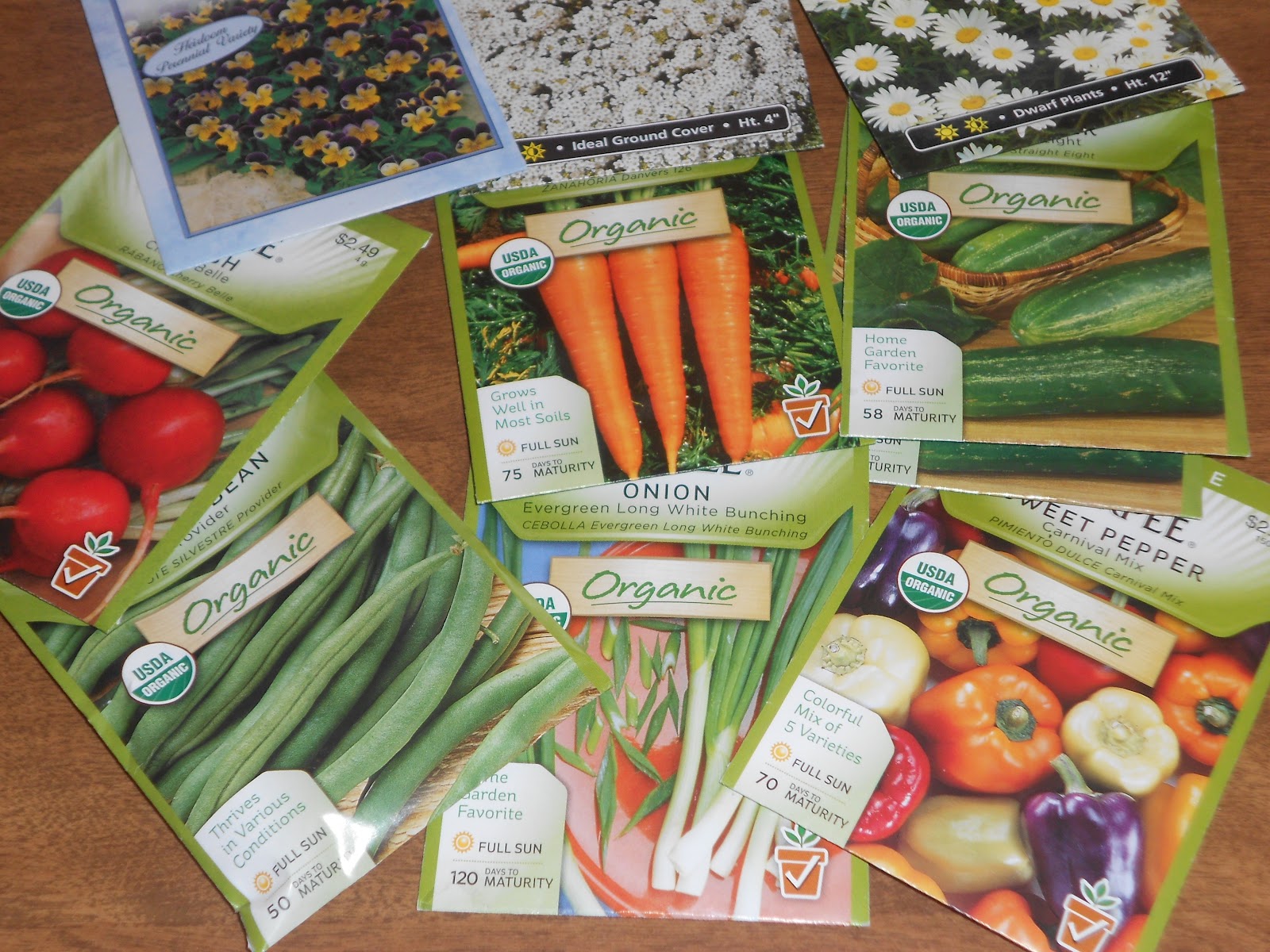 The Learning Laboratory: Plant the Seed!