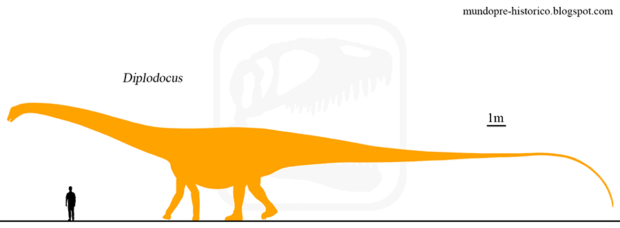 Mundo Pré-Histórico: Diplodoco, um dos dinossauros mais longos