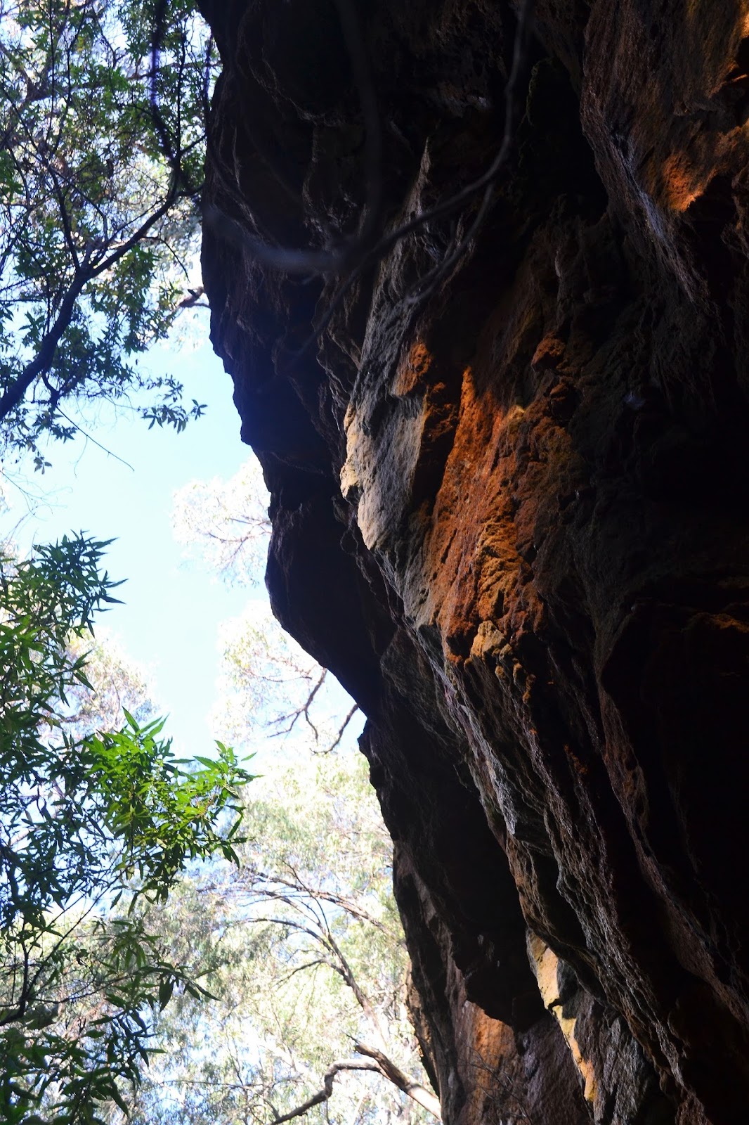 Goin' Feral One Day At A Time: Ironbark Gorge & Currawong Falls, Great ...