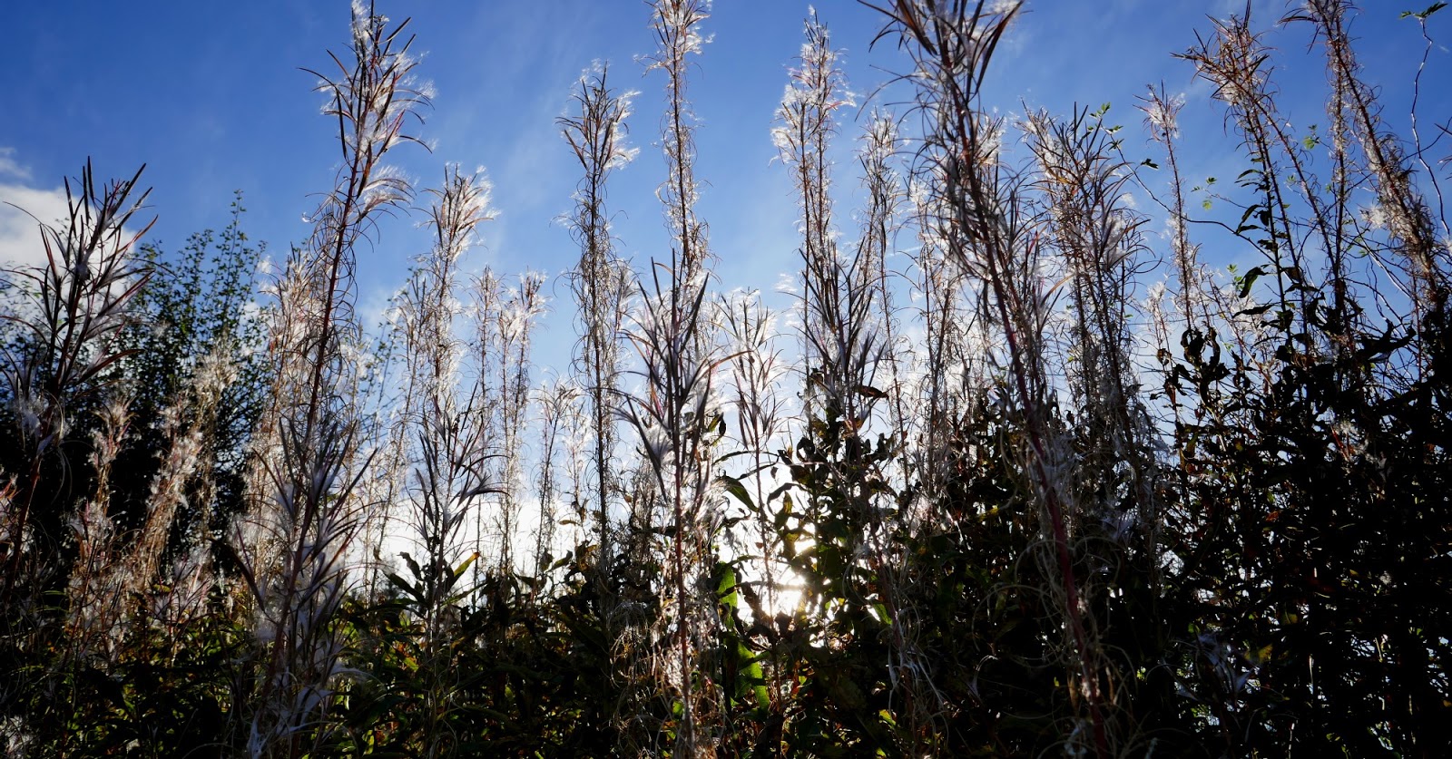 best part of the day: Tweed Valley Ultra Recce and Oct TB