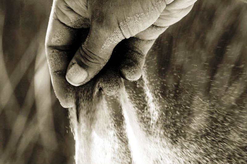 Iglesia de Trujillo - Centro: Lección 12 | El Zarandeo