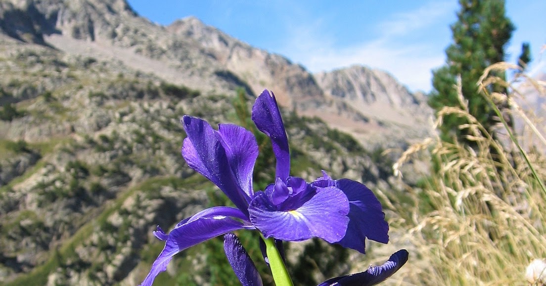 Un paraíso en la Montaña Central Leonesa: ¡Aleluya!