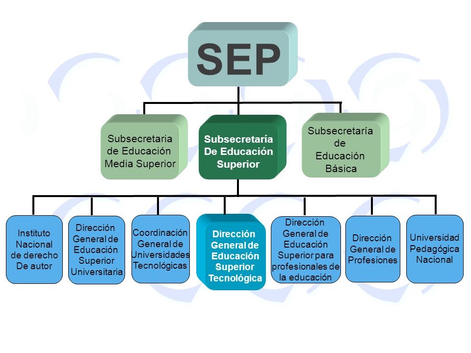Secretaría de Educación Pública