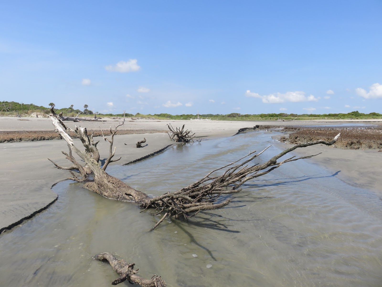 Vacation Rick: Bulls Island Beach Drop With Coastal Expeditions ...
