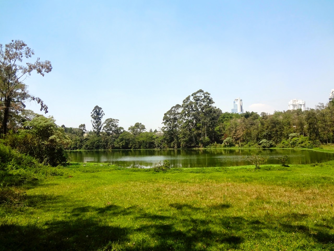Parque Ecológico de Barueri (ex-Parque Ecológico do Tietê - Núcleo Ilha ...