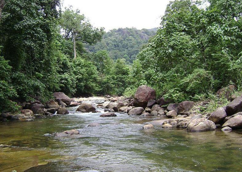 Tamilnadu Tourism: Kalikesam Forest & Waterfalls, Kanyakumari