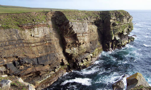 Devonian life and evolution: Discovery of Devonian rocks