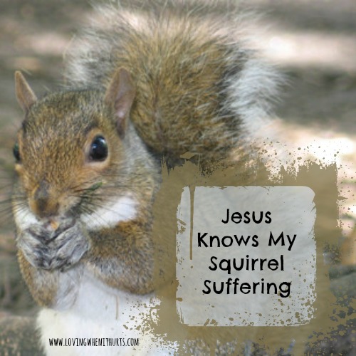 Loving When It Hurts: Jesus Knows My Squirrel Suffering