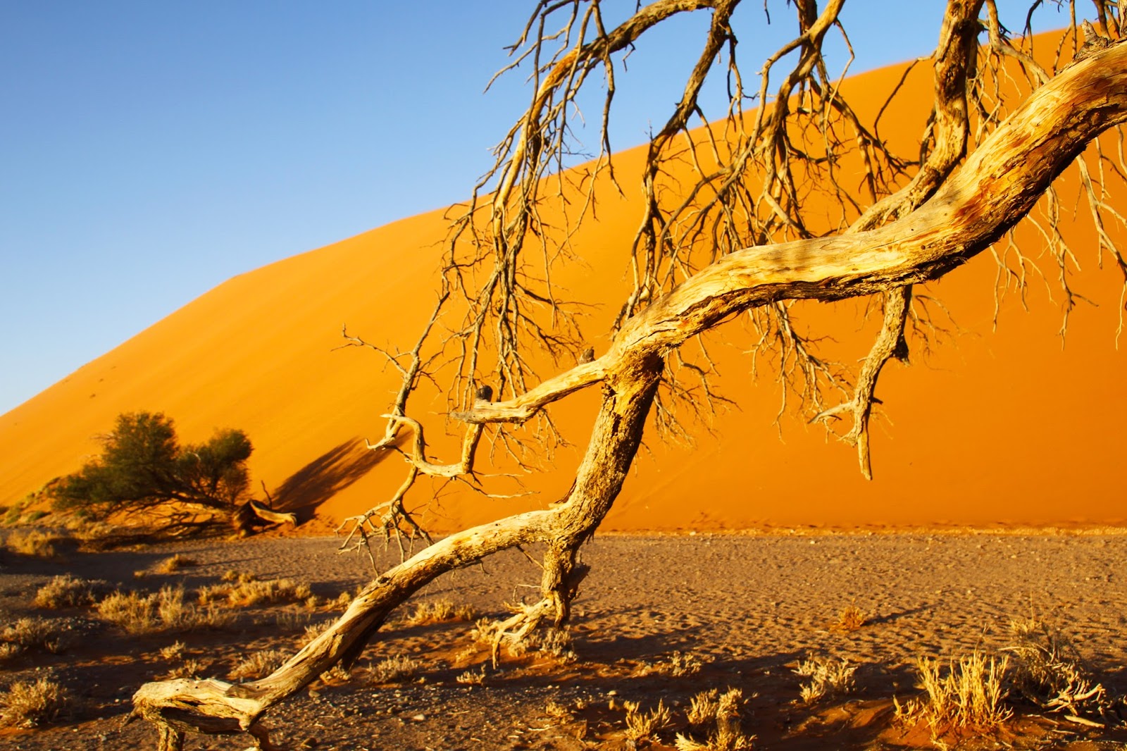 Viajar entre Viagens: O deserto da Namíbia