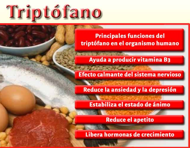 Estilo y hogar: El Triptófano, necesario para nuestro cerébro.