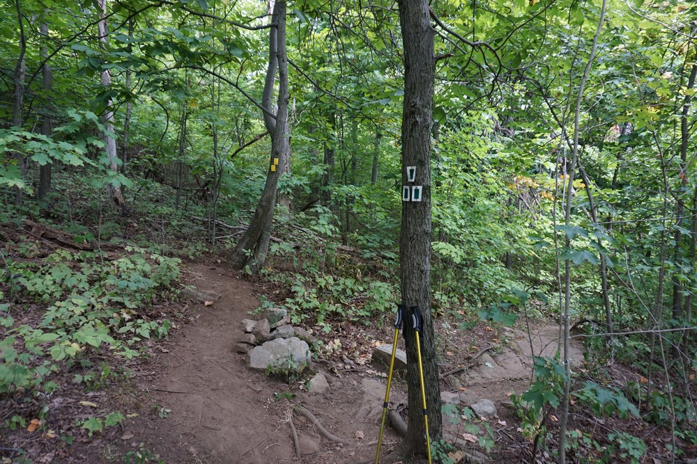 Harriman Hiker: Harriman State Park and Beyond: New Vista Loop Trail at ...