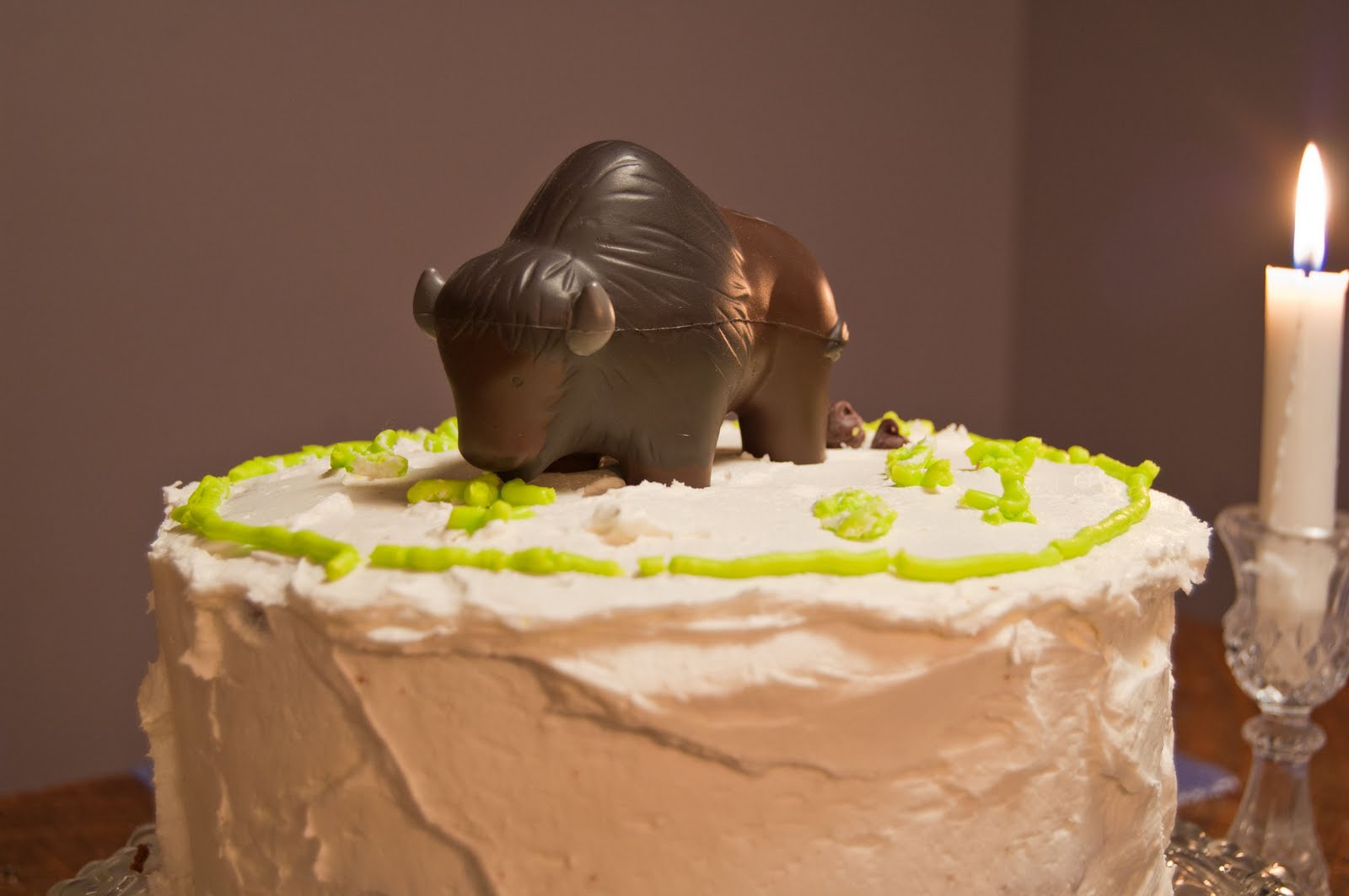 Big Bison's Birthday - That Susan Williams