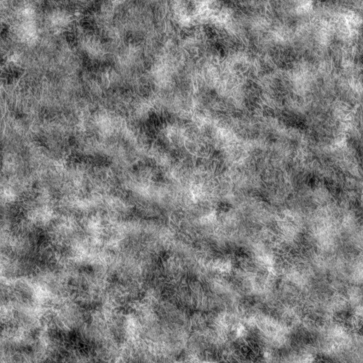 Seamless Green Grass Rough (Maps) | Texturise Free Seamless Textures ...