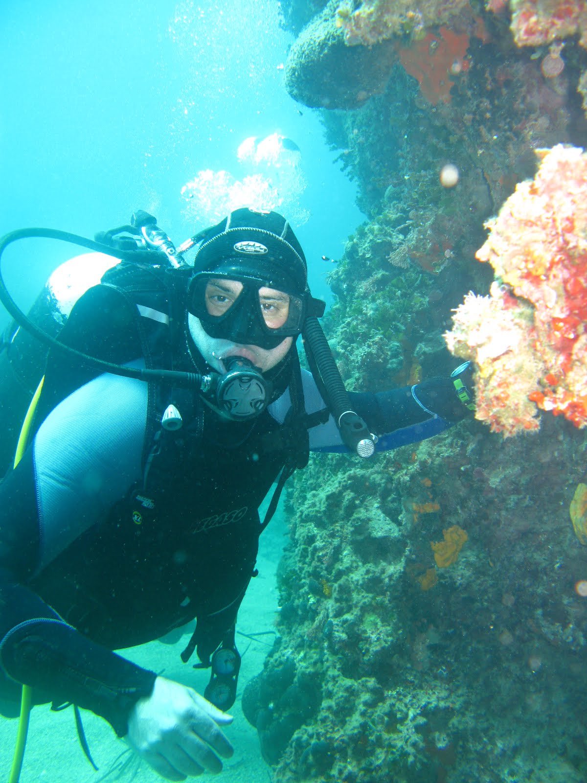 Petries Divers Club: καταδυση στο Γαρδο
