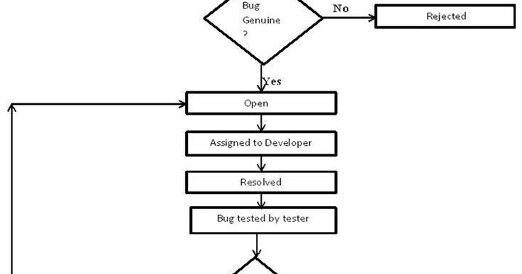 Software Testingautomation Testing Tutorials Review And Bug Life Cycle 4201