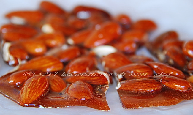 IL LABORATORIO DI MARINA: ΚΡΟΚΆΝ ή ΚΑΡΑΜΕΛΩΜΕΝΟΙ ΞΗΡΟΙ ΚΑΡΠΟΙ ...