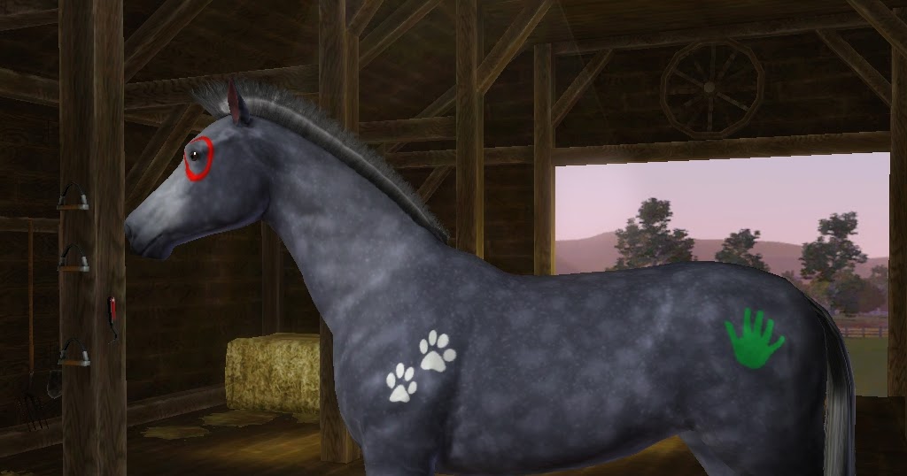 Equus CC-Database: Native Markings