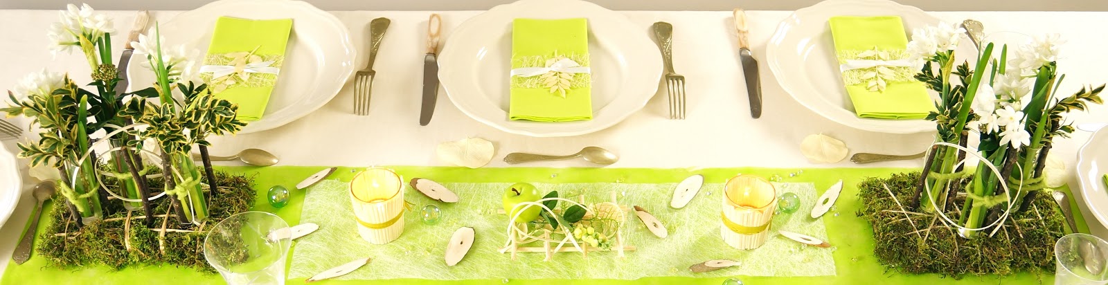 ma boutique déco table - décoration de table: déjeuner sur l'herbe