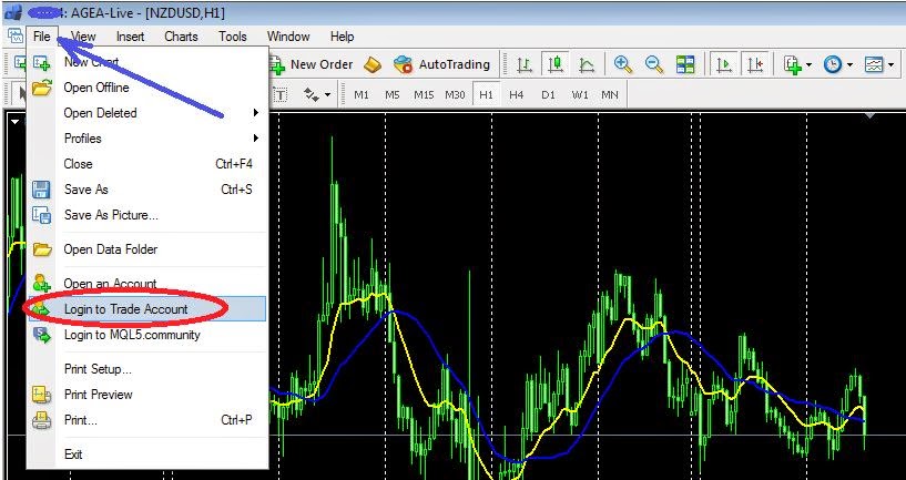 Cara login & keluar / log out dari MT4 Agea | FBS Forex