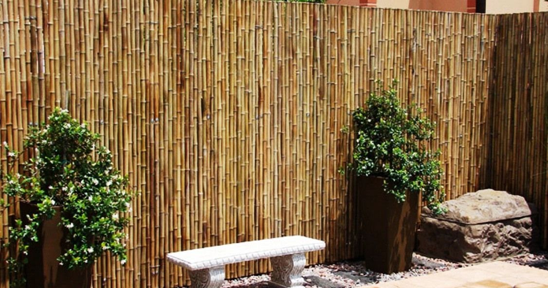 Inspirasi 38 Gambar Pagar Bambu Minimalis Paling Modern Dan Minimalis