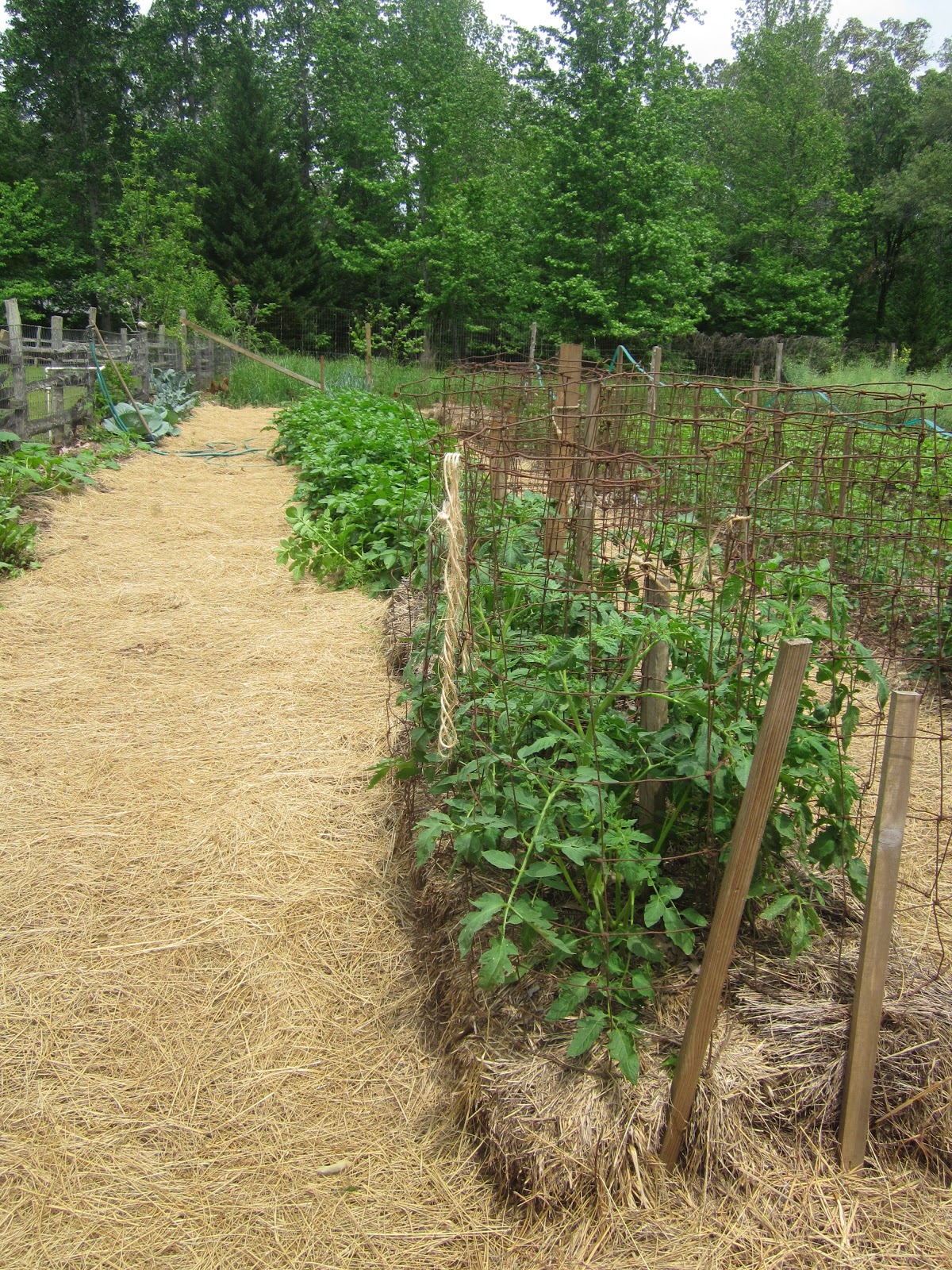 McCoy Farm and Folk Art: 2017