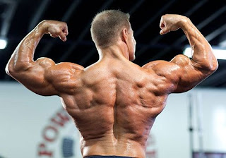 Shoulders and isolation movements - Bodybuilding For Health