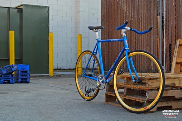 .: BLUE FIXIE