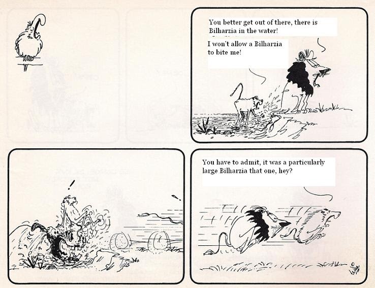 South African Comic Books: Wim Bosman