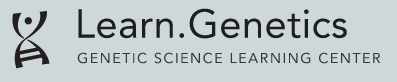 i love physical therapy: Learn.Genetics