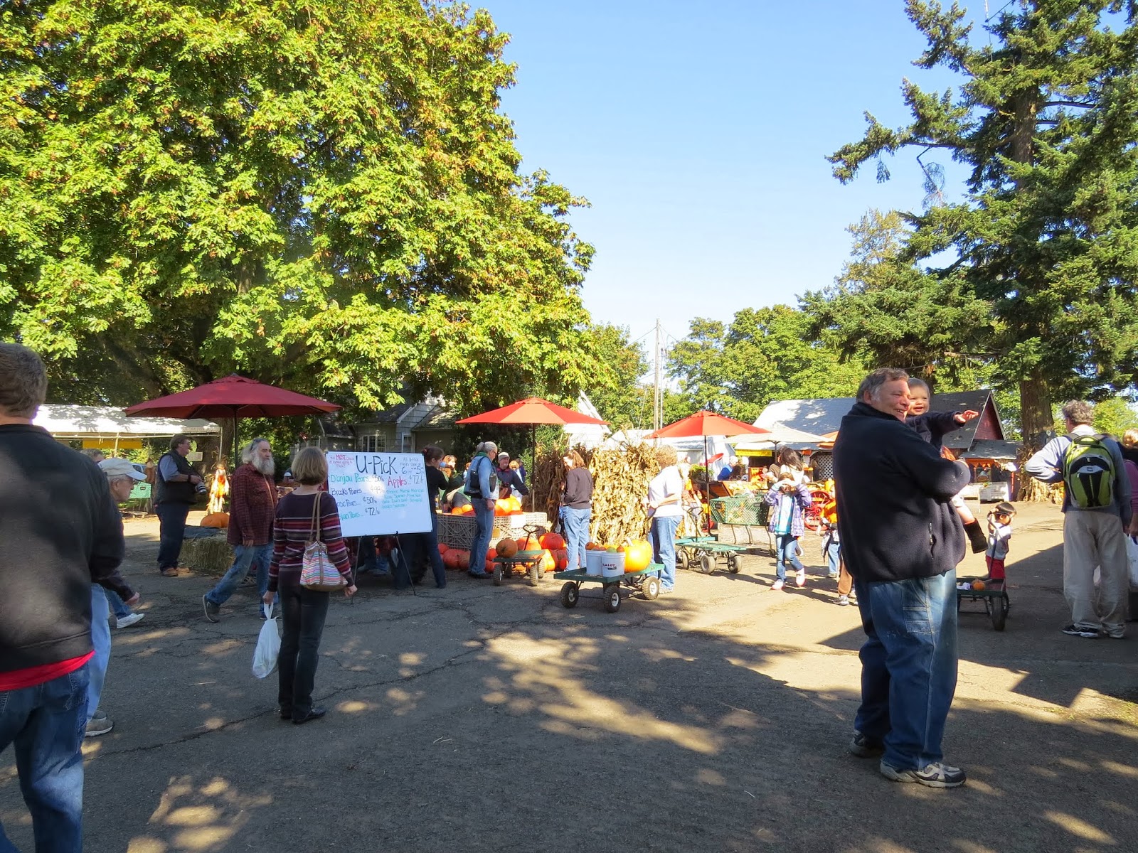 Photos by Jan: A Trip to Detering Orchards; in Harrisburg, Oregon
