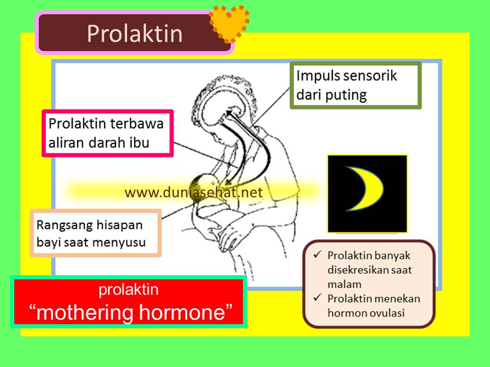 Shasha's health and beauty: June 2015