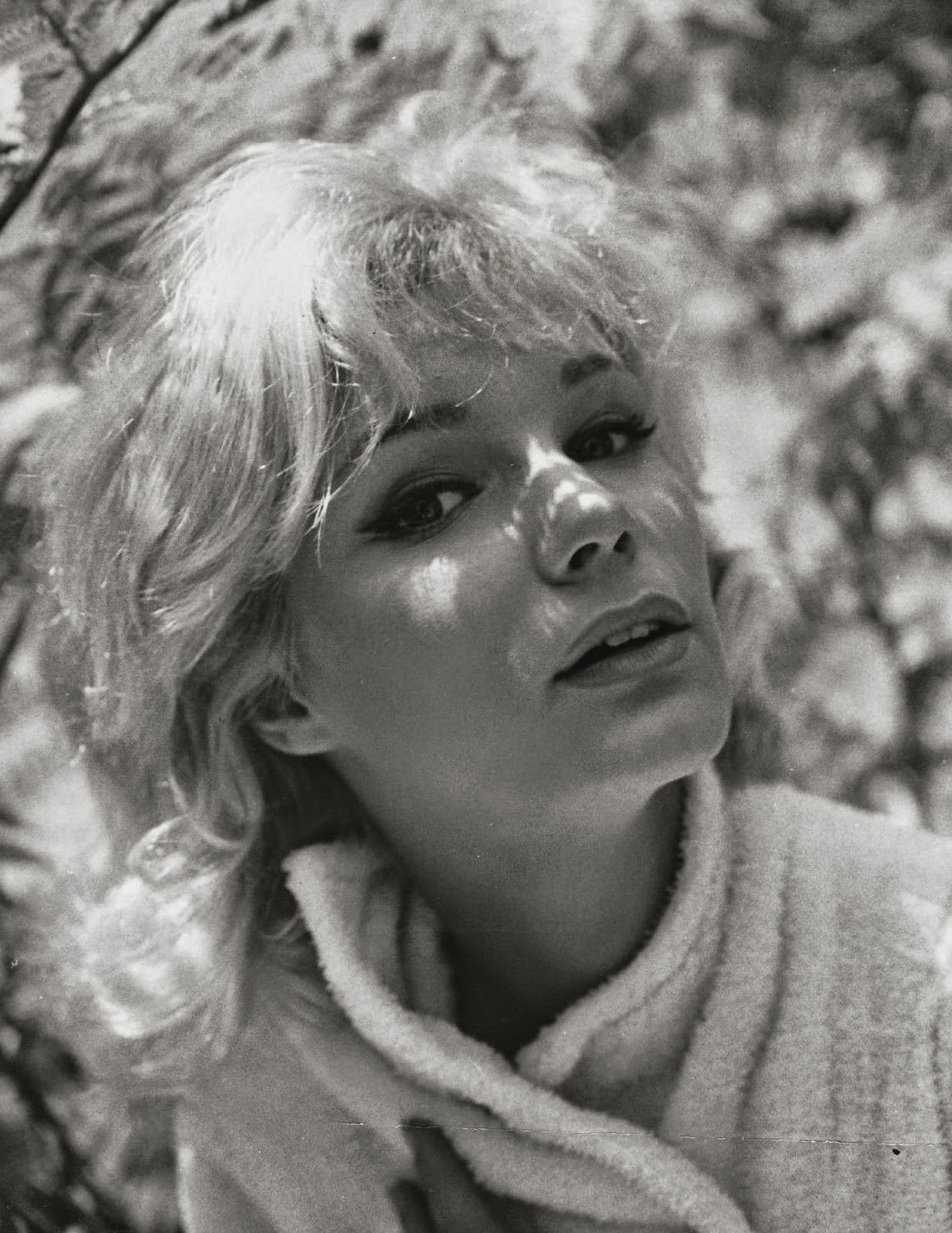 Slice of Cheesecake: Yvette Mimieux, pictorial