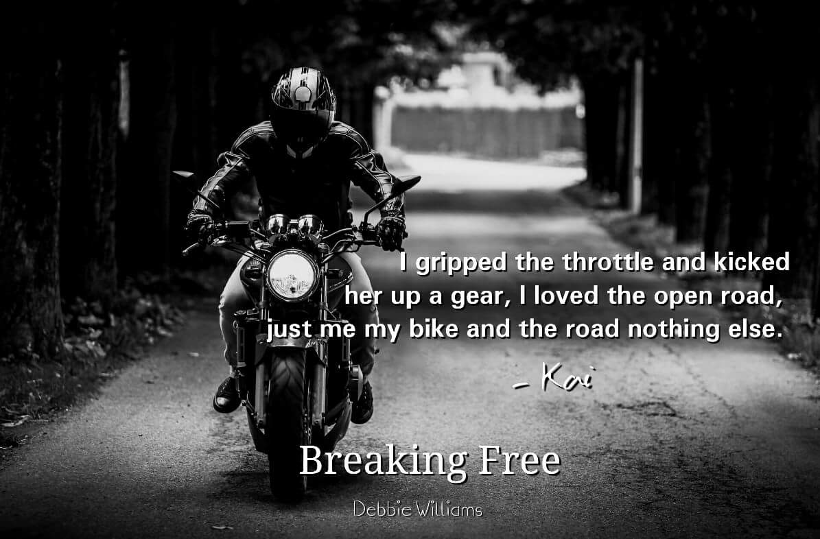 L.M.EVANS : Author Interview with Debbie Williams 2017