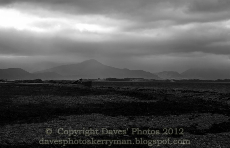 Daves' Photos: A STUDY IN BLACK & WHITE AT LOWER CROMANE