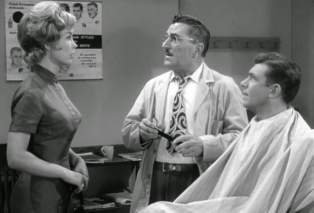 Barbara eden andy griffith show - textfas