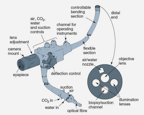 OTMANAGE: ENDOSCOPE 2 Parts & light source