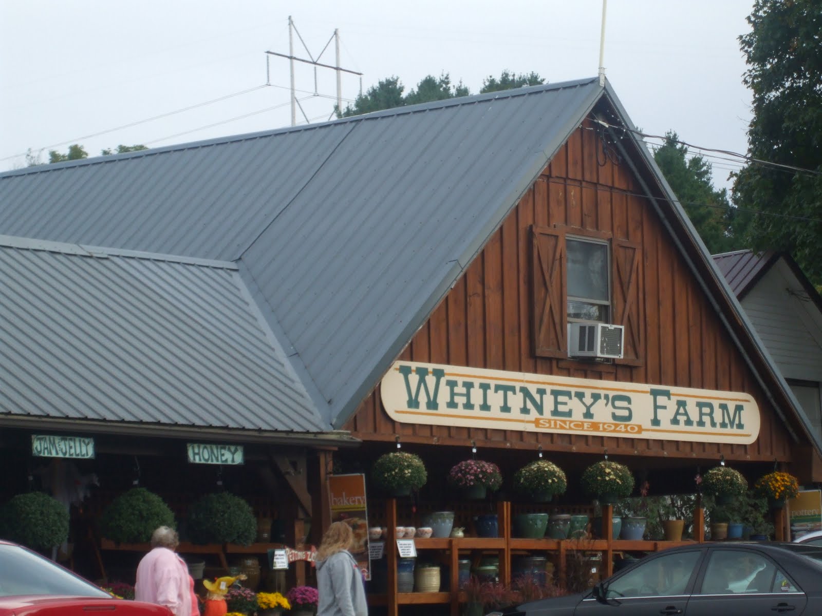 Trolls Taking Strolls