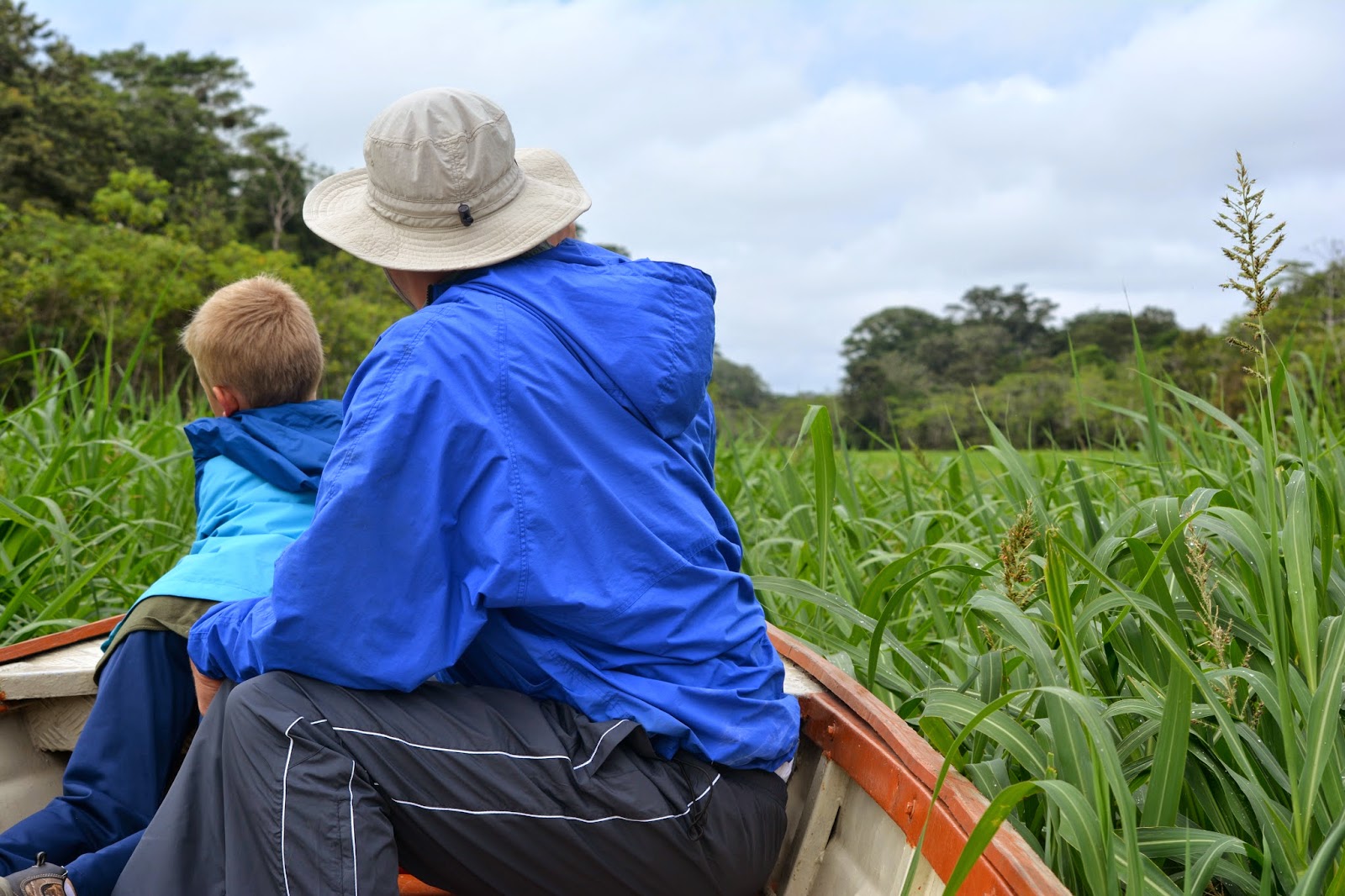 The Thrill on Berryhill: Amazonas Day 4: Into the Amazon Swamp We Go