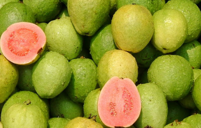 Kandungan dan Manfaat Mengkonsumsi Buah Jambu Biji - Santos Blog