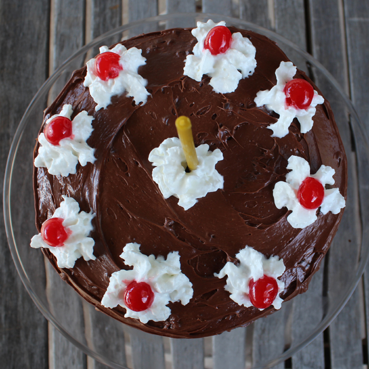 The Cake is a Lie! Portals Rumored Layered Cake DIY!