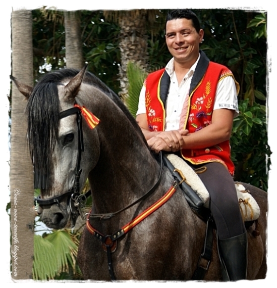 Alles rund um Teneriffa und Casa Nova: "Paseo Romero" in Puerto de La Cruz