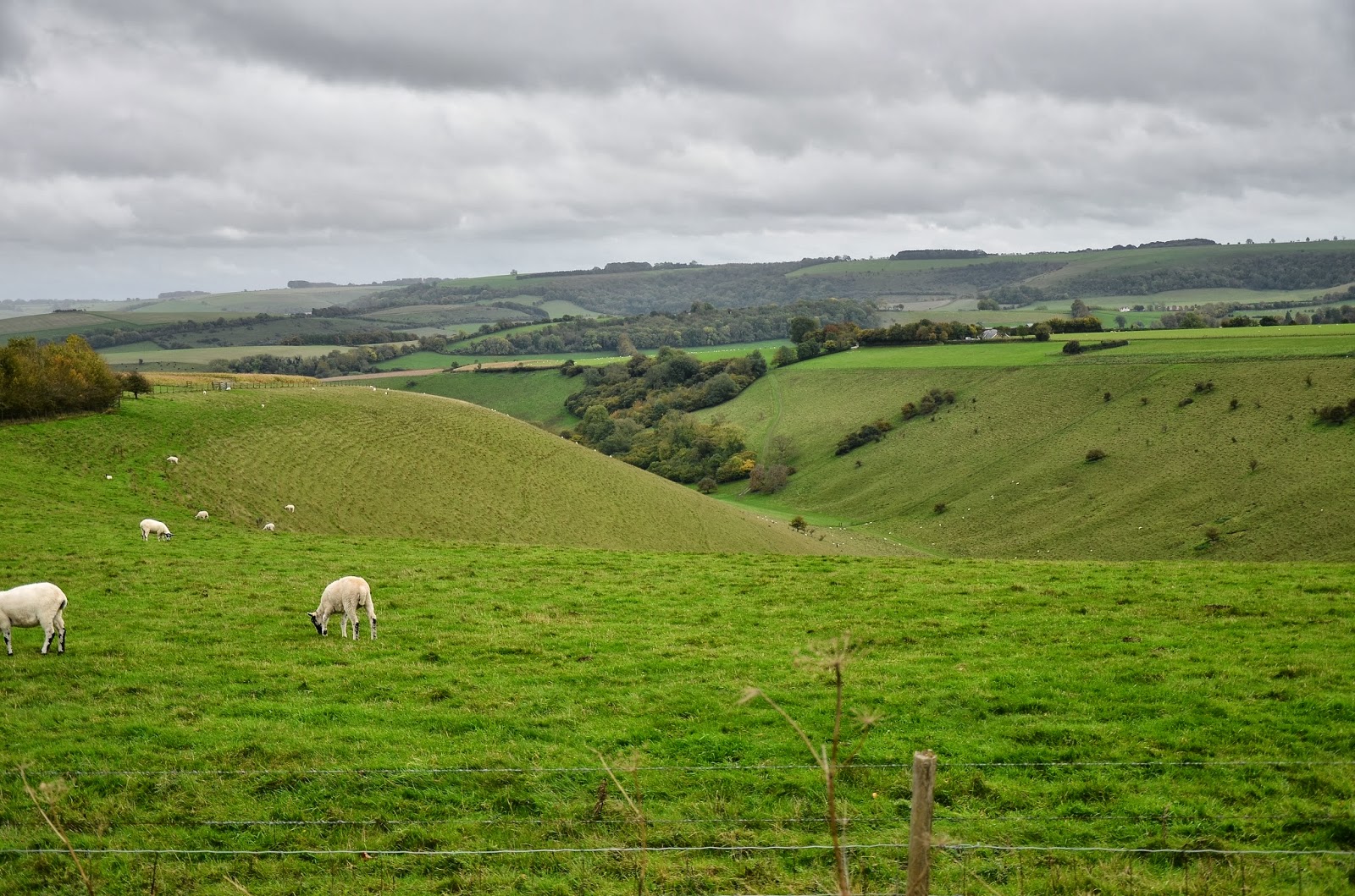 Salisbury Plain ~ Gelände Straßetastic