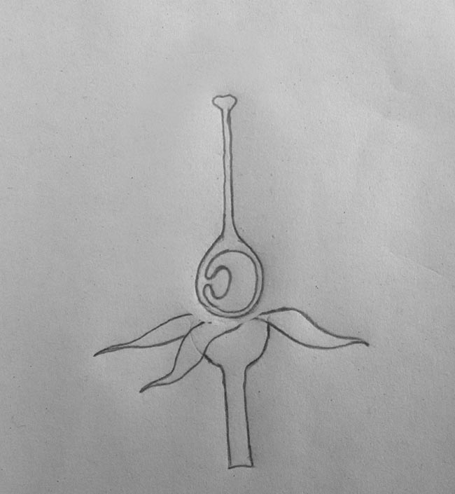 DRAW IT NEAT: How to draw a typical flower