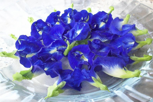 Semua Menjadi: Gubahan Bunga Telang Biru