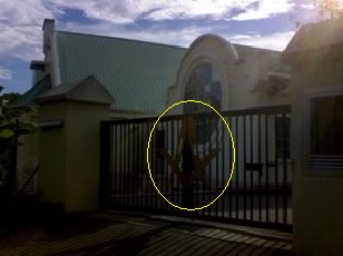 Cartoon Spongebob: SIMBOL FREEMASON ILLUMINATI DI MALAYSIA