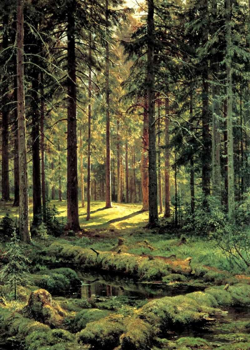 The Glory of Russian Painting: Ivan Shishkin, ctd