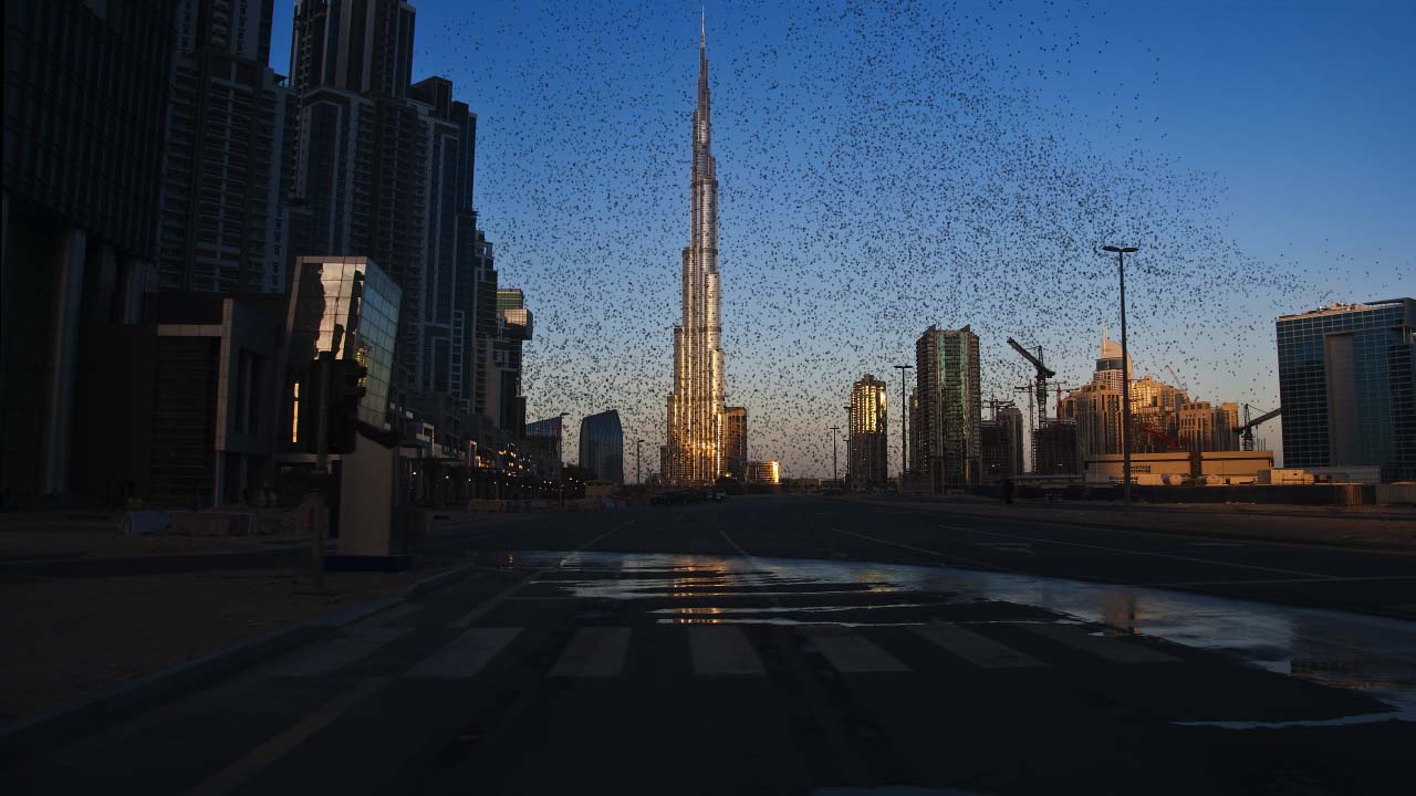 Cédric Gilbert Photography and Graphic Design: Burj Khalifa Birds Storm