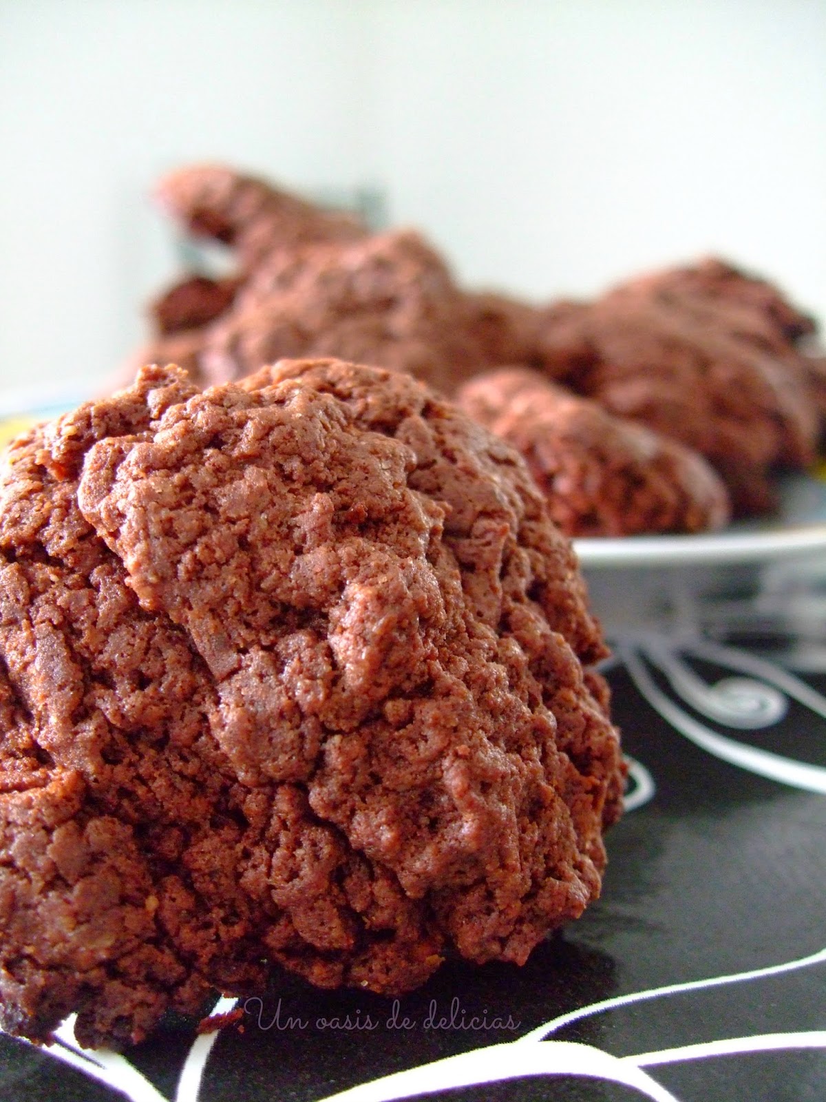 Un oasis de delicias: Galletas de chocolate intenso