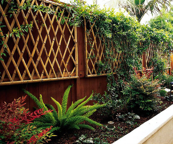 New Home Interior Design: Trellis Design Ideas: Wall-Mount Trellises